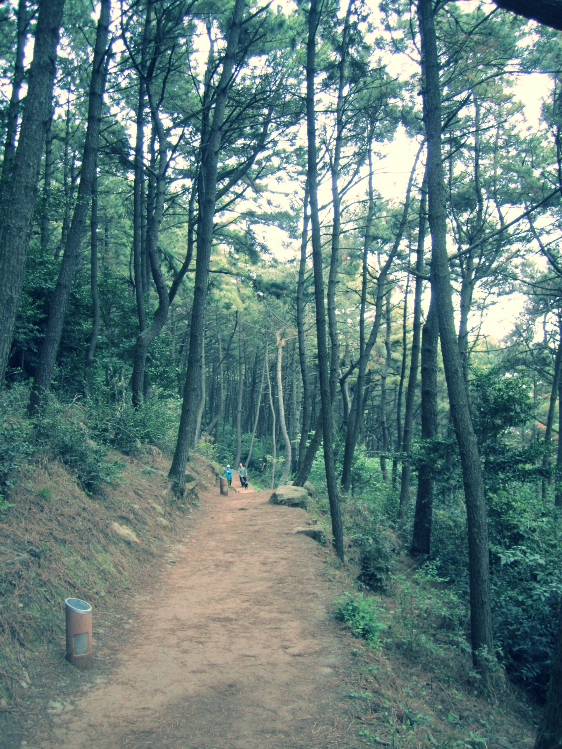 What To Know Before Visiting South Korea (as a North American Tourist ...