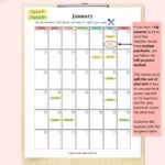 What is a Budget Calendar and How to Make One - Mint Notion