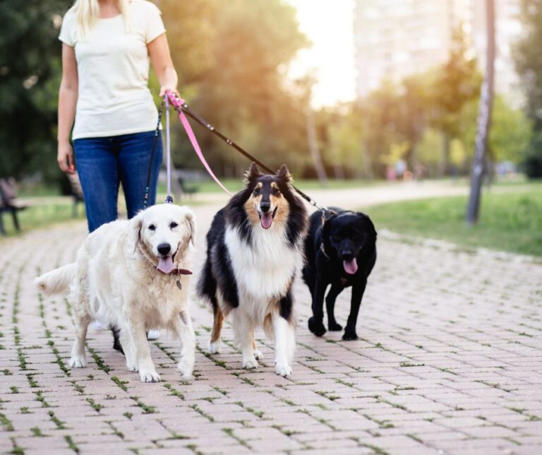 20 Ways To Make Money As A Teen - Mint Notion